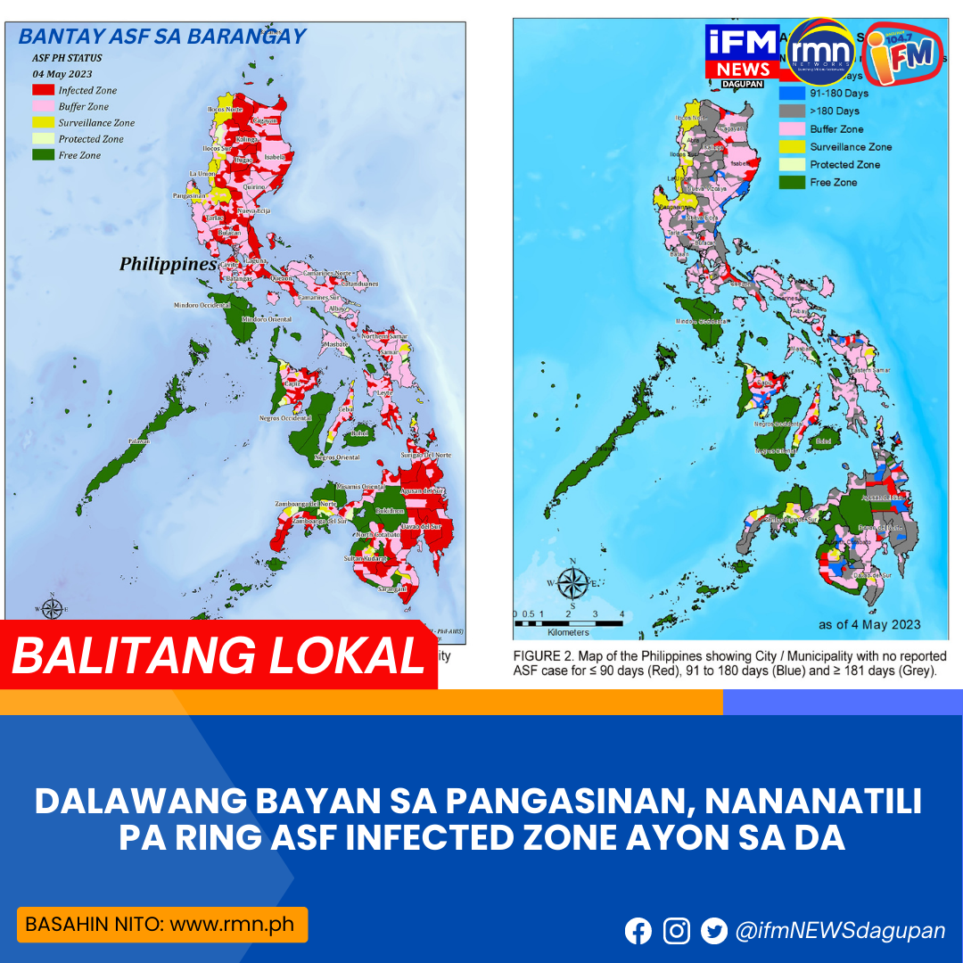 DALAWANG BAYAN SA PANGASINAN, NANANATILI PA RING ASF INFECTED ZONE AYON ...