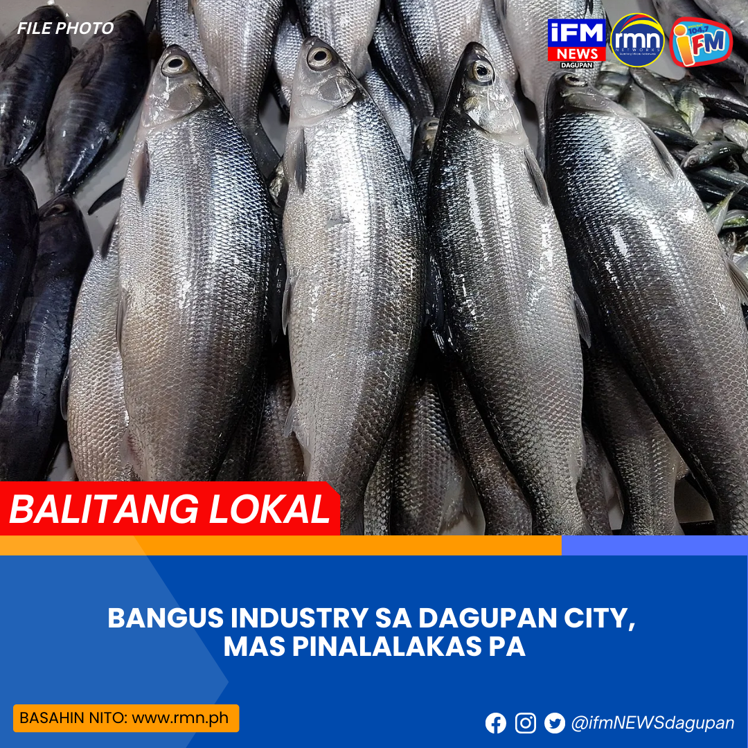 BANGUS INDUSTRY SA DAGUPAN CITY, MAS PINALALAKAS PA - RMN Networks