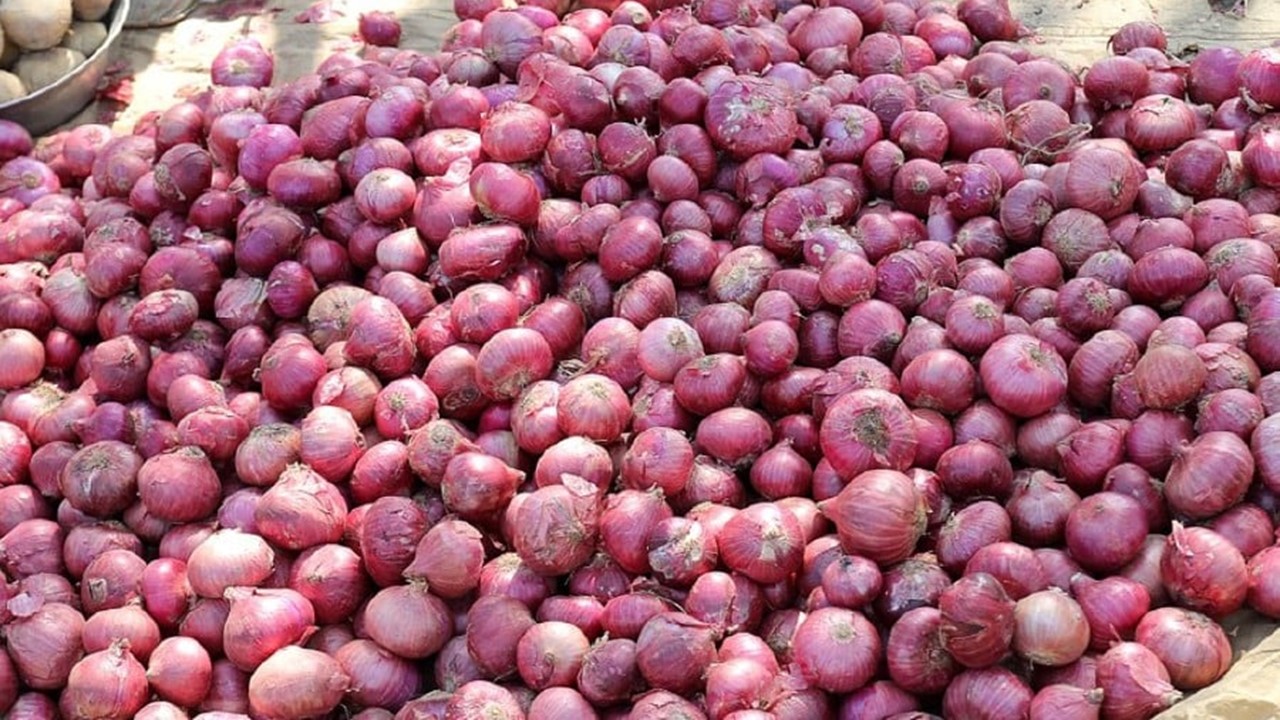 Onion cartel, napatunayang buhay na buhay base sa pagdinig ng Kamara ...
