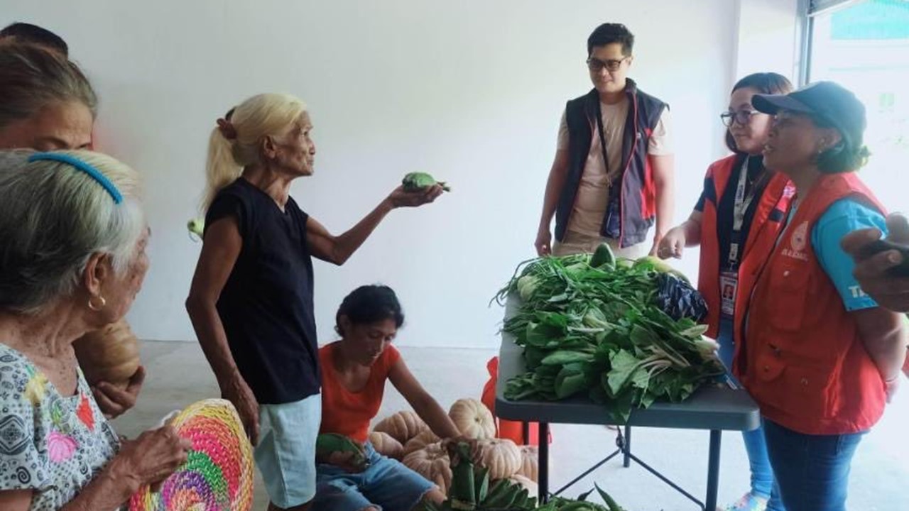 Vegetable community pantry, itinayo ng mga 4Ps beneficiary na bakwit ng ...