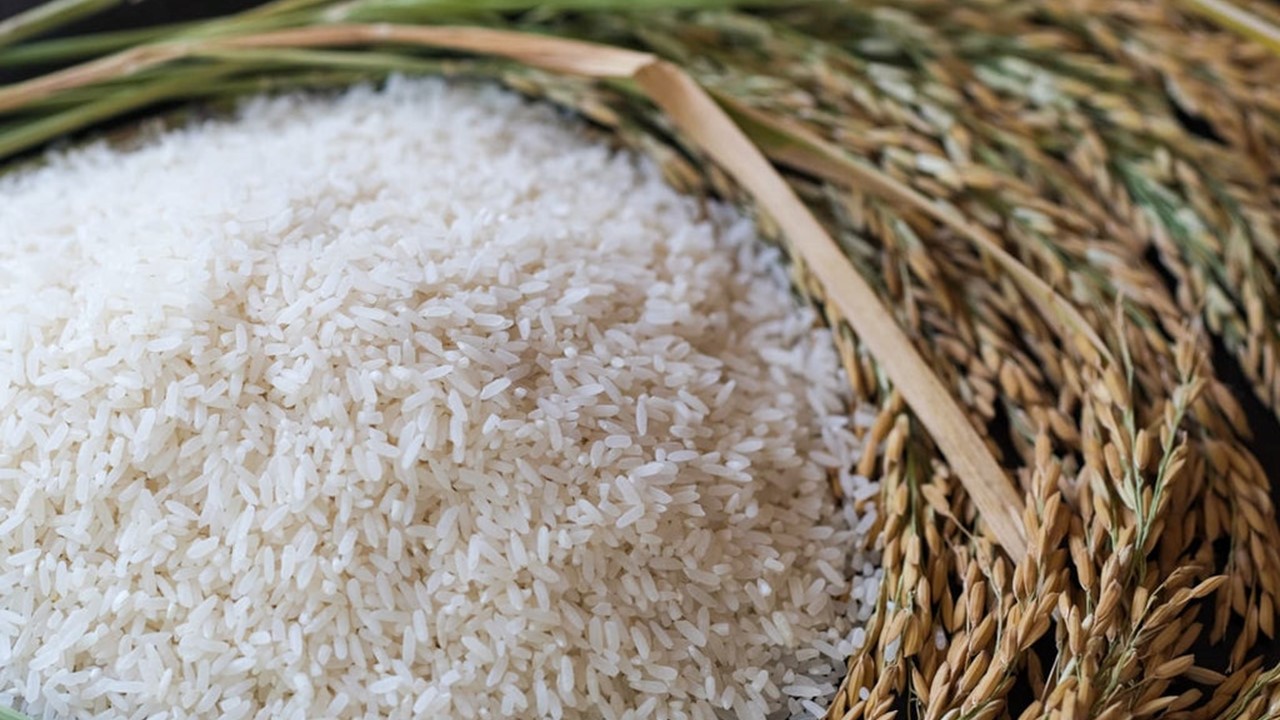 Pagtatatag ng rice production zone, hiniling na simulan na ng ...