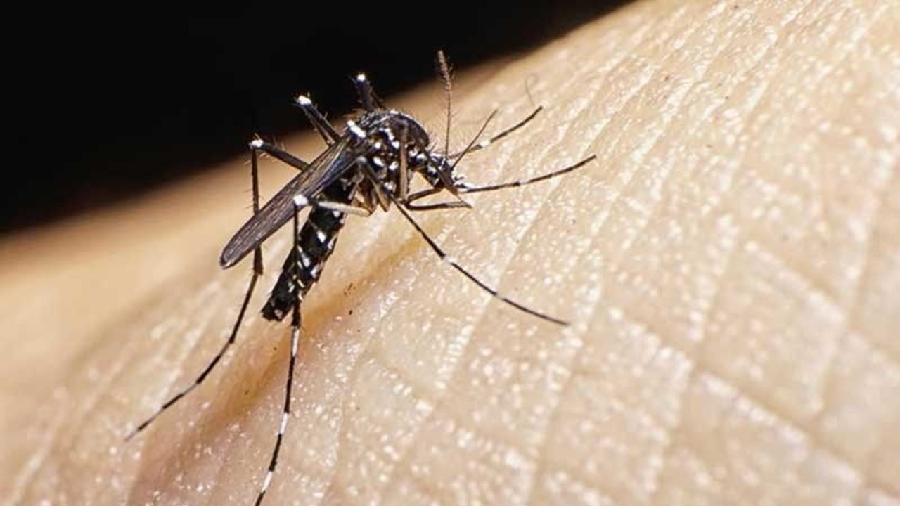 Dengue at leptospirosis, sagot ng PhilHealth - RMN Networks