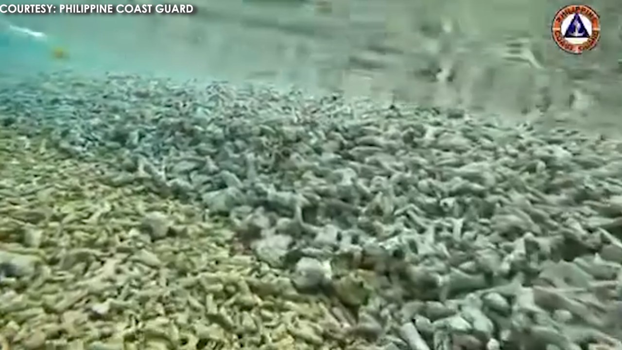 Pagkasira ng bahura sa WPS, may epekto rin sa fish sufficiency ng mga ...