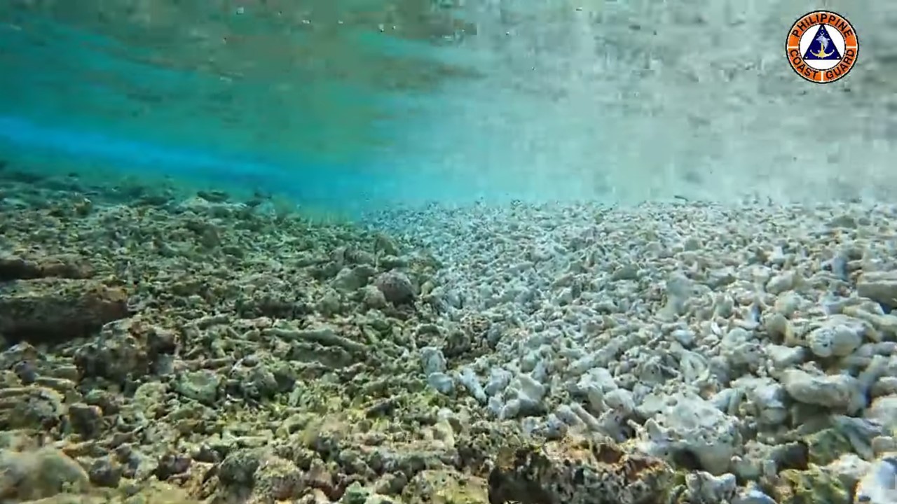 Sen. Tolentino: China, umiiwas sa isyu ng pagkasira ng mga bahura sa ...