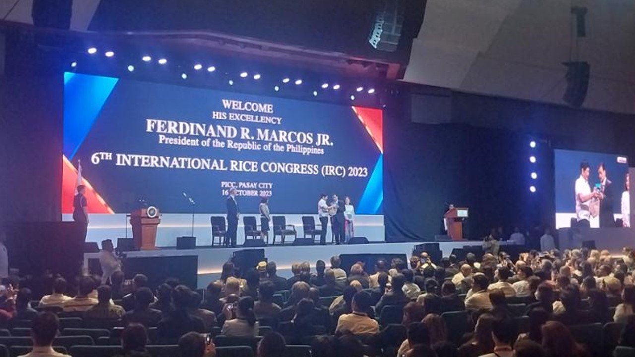 Dalawang klase ng bigas para sa mga may diabetes, iprinisinta kay PBBM ...