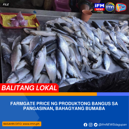 𝗙𝗔𝗥𝗠𝗚𝗔𝗧𝗘 𝗣𝗥𝗜𝗖𝗘 𝗡𝗚 𝗣𝗥𝗢𝗗𝗨𝗞𝗧𝗢𝗡𝗚 𝗕𝗔𝗡𝗚𝗨𝗦 𝗦𝗔 𝗣𝗔𝗡𝗚𝗔𝗦𝗜𝗡𝗔𝗡, 𝗕𝗔𝗛𝗔𝗚𝗬𝗔𝗡𝗚 𝗕𝗨𝗠𝗔𝗕𝗔 - RMN Networks