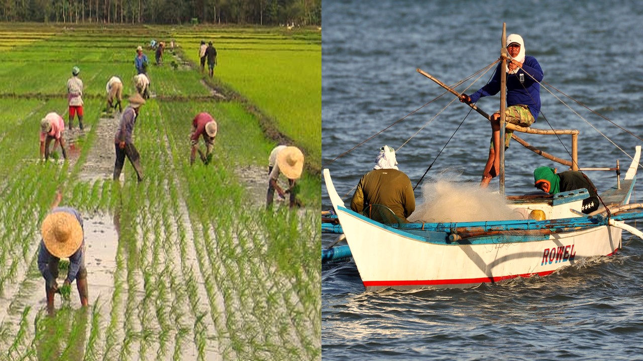 Mga magsasaka at mangingisda, tinukoy ng NAPC na pinakamahirap na sektor sa bansa - RMN Networks