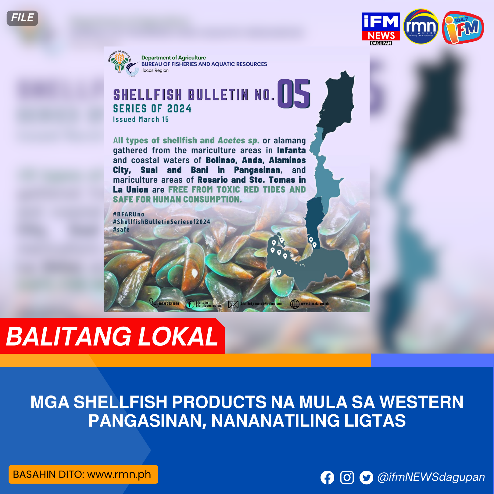 𝗠𝗚𝗔 𝗦𝗛𝗘𝗟𝗟𝗙𝗜𝗦𝗛 𝗣𝗥𝗢𝗗𝗨𝗖𝗧𝗦 𝗡𝗔 𝗠𝗨𝗟𝗔 𝗦𝗔 𝗪𝗘𝗦𝗧𝗘𝗥𝗡 𝗣𝗔𝗡𝗚𝗔𝗦𝗜𝗡𝗔𝗡, 𝗡𝗔𝗡𝗔𝗡𝗔𝗧𝗜𝗟𝗜𝗡𝗚 ...