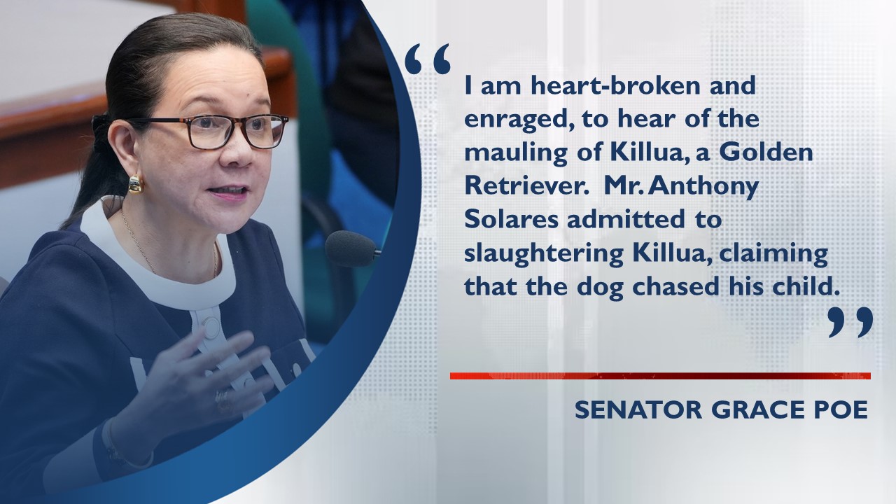 Senador, ikinagalit ang paghampas at pagpatay sa asong si 'Killua' sa ...