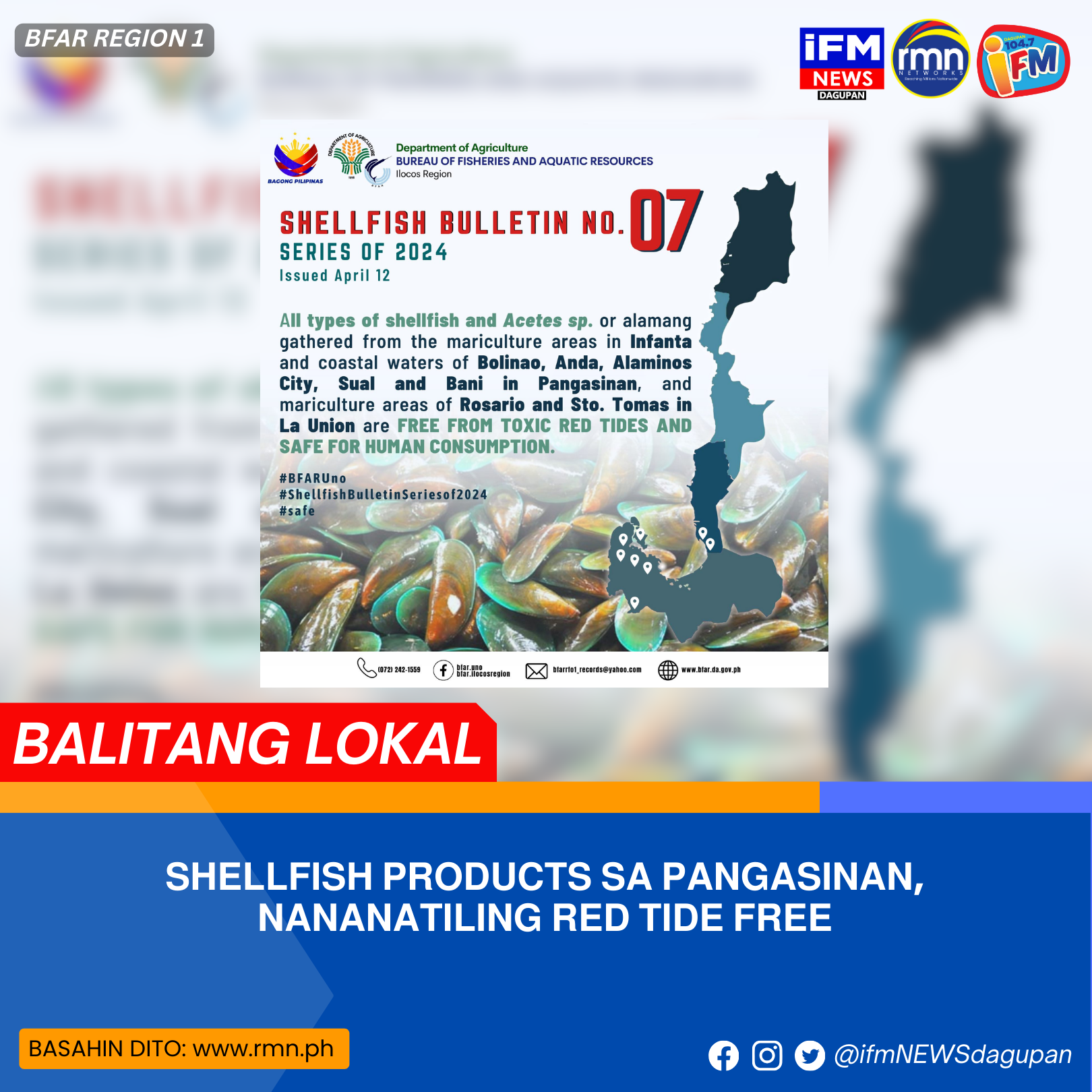 𝗦𝗛𝗘𝗟𝗟𝗙𝗜𝗦𝗛 𝗣𝗥𝗢𝗗𝗨𝗖𝗧𝗦 𝗦𝗔 𝗣𝗔𝗡𝗚𝗔𝗦𝗜𝗡𝗔𝗡, 𝗡𝗔𝗡𝗔𝗡𝗔𝗧𝗜𝗟𝗜𝗡𝗚 𝗥𝗘𝗗 𝗧𝗜𝗗𝗘 𝗙𝗥𝗘𝗘 - RMN Networks