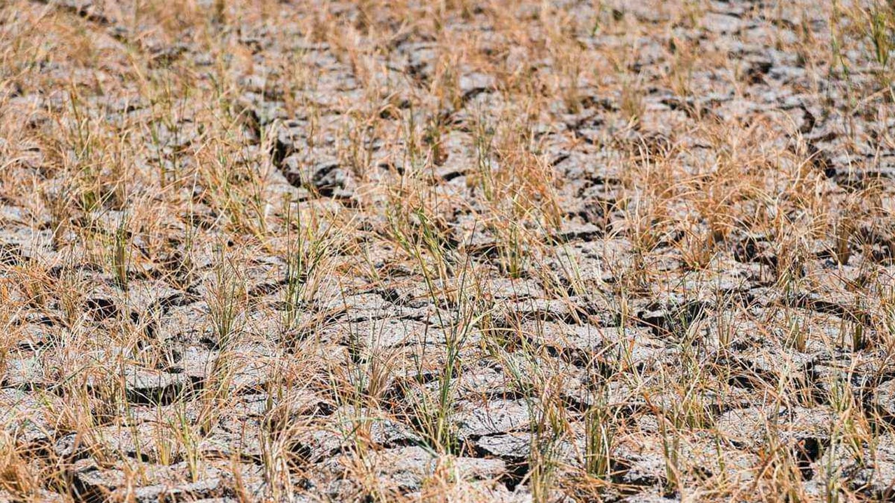 Senador, suportado ang mga programa ng gobyerno laban sa El Niño - RMN ...