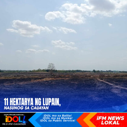 𝟭𝟭 𝗛𝗘𝗞𝗧𝗔𝗥𝗬𝗔 𝗡𝗚 𝗟𝗨𝗣𝗔𝗜𝗡, 𝗡𝗔𝗦𝗨𝗡𝗢𝗚 𝗦𝗔 𝗖𝗔𝗨𝗔𝗬𝗔𝗡 - RMN Networks