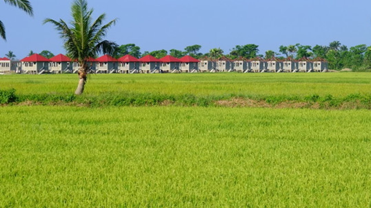 Cropping calendar, target simulan ng NIA sa Oktubre para mabawasan ang ...