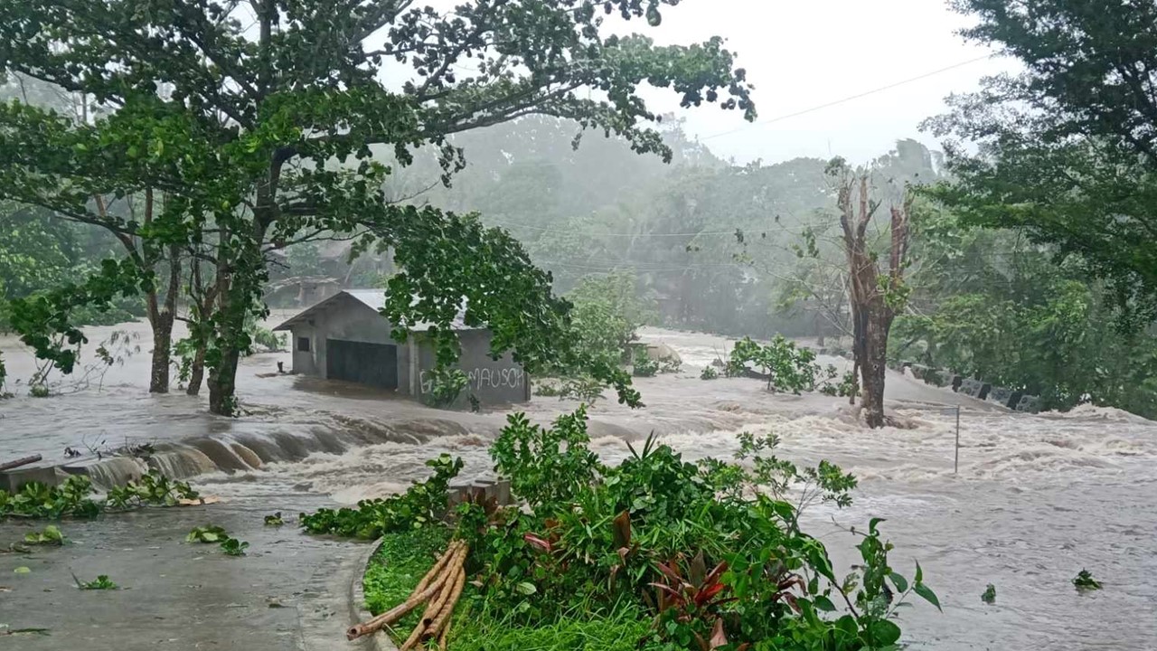 21K hectares ng pananim sa tatlong rehiyon sa bansa, nasira dahil sa ...