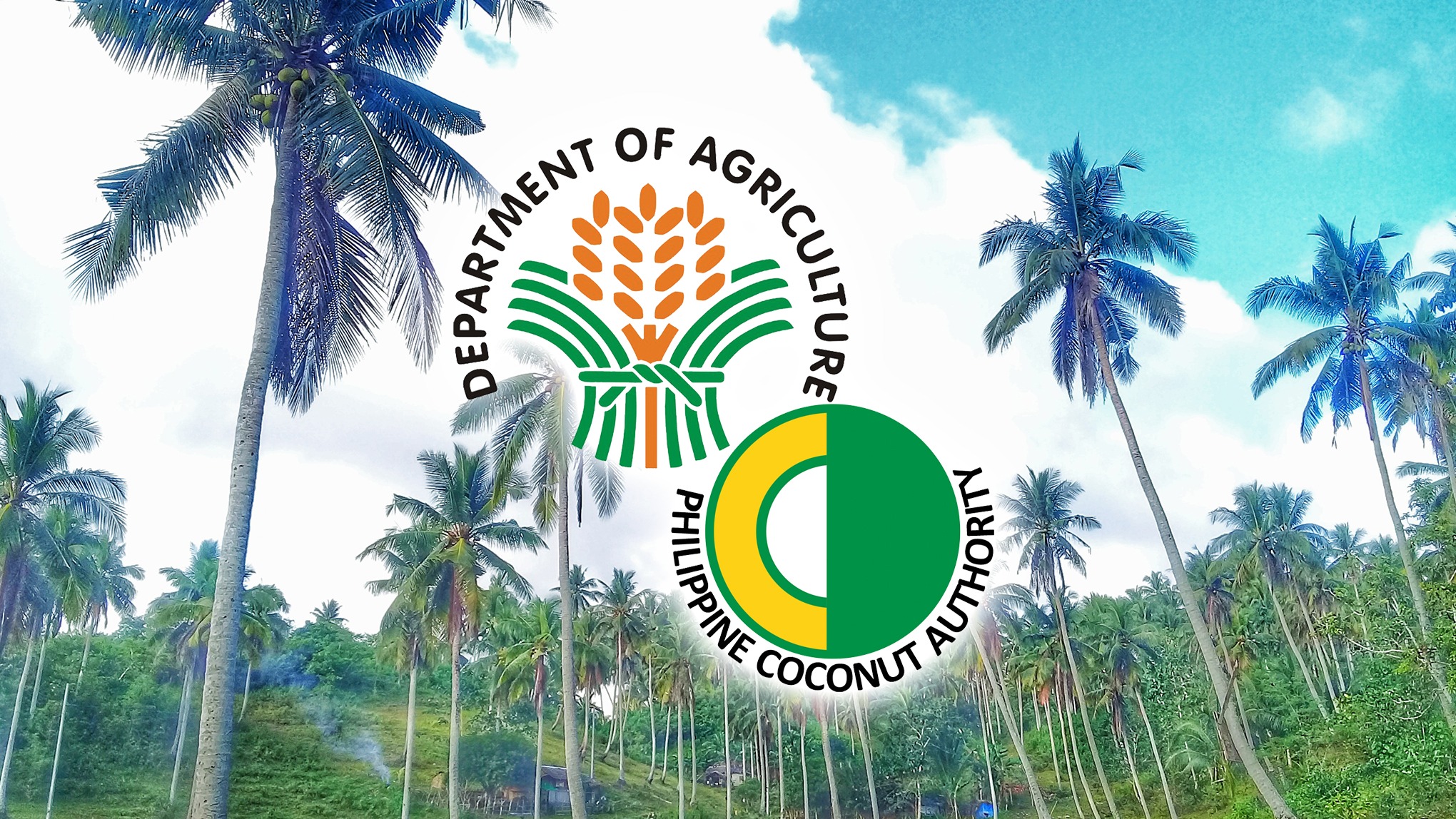 Philippine Coconut Authority, bibigyan ng sapat na pondo ni PBBM para ...