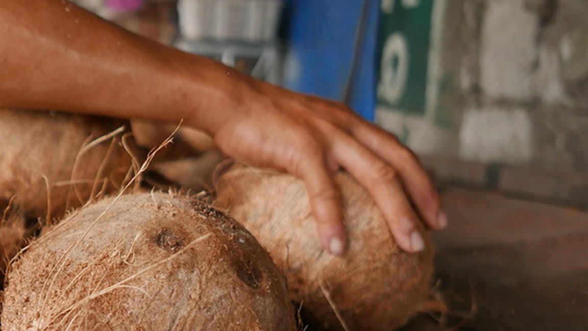 Pilipinas, target maging number 1 exporter ng niyog - RMN Networks