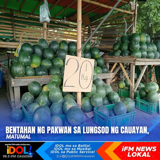 BENTAHAN NG PAKWAN SA LUNGSOD NG CAUAYAN, MATUMAL - RMN Networks