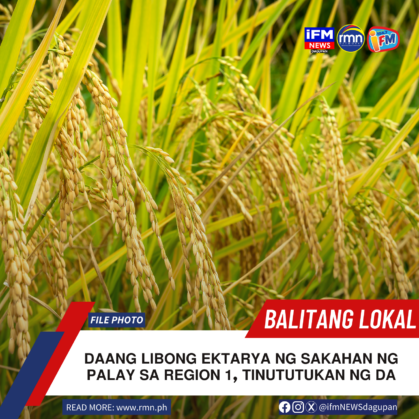 𝗗𝗔𝗔𝗡𝗚 𝗟𝗜𝗕𝗢𝗡𝗚 𝗘𝗞𝗧𝗔𝗥𝗬𝗔 𝗡𝗚 𝗦𝗔𝗞𝗔𝗛𝗔𝗡 𝗡𝗚 𝗣𝗔𝗟𝗔𝗬 𝗦𝗔 𝗥𝗘𝗚𝗜𝗢𝗡 𝟭, 𝗧𝗜𝗡𝗨𝗧𝗨𝗧𝗨𝗞𝗔𝗡 𝗡𝗚 𝗗𝗔 - RMN Networks