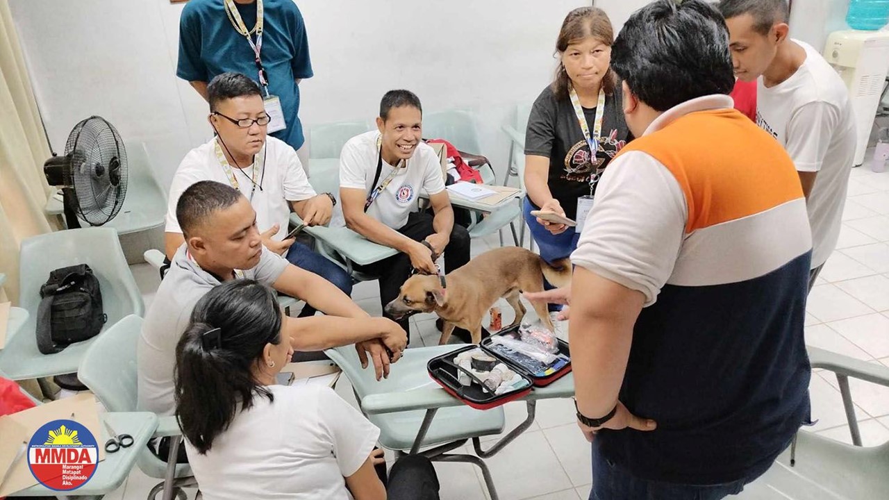 Kahalagahan ng mga aso sa search and rescue operations sa pagtugon sa ...