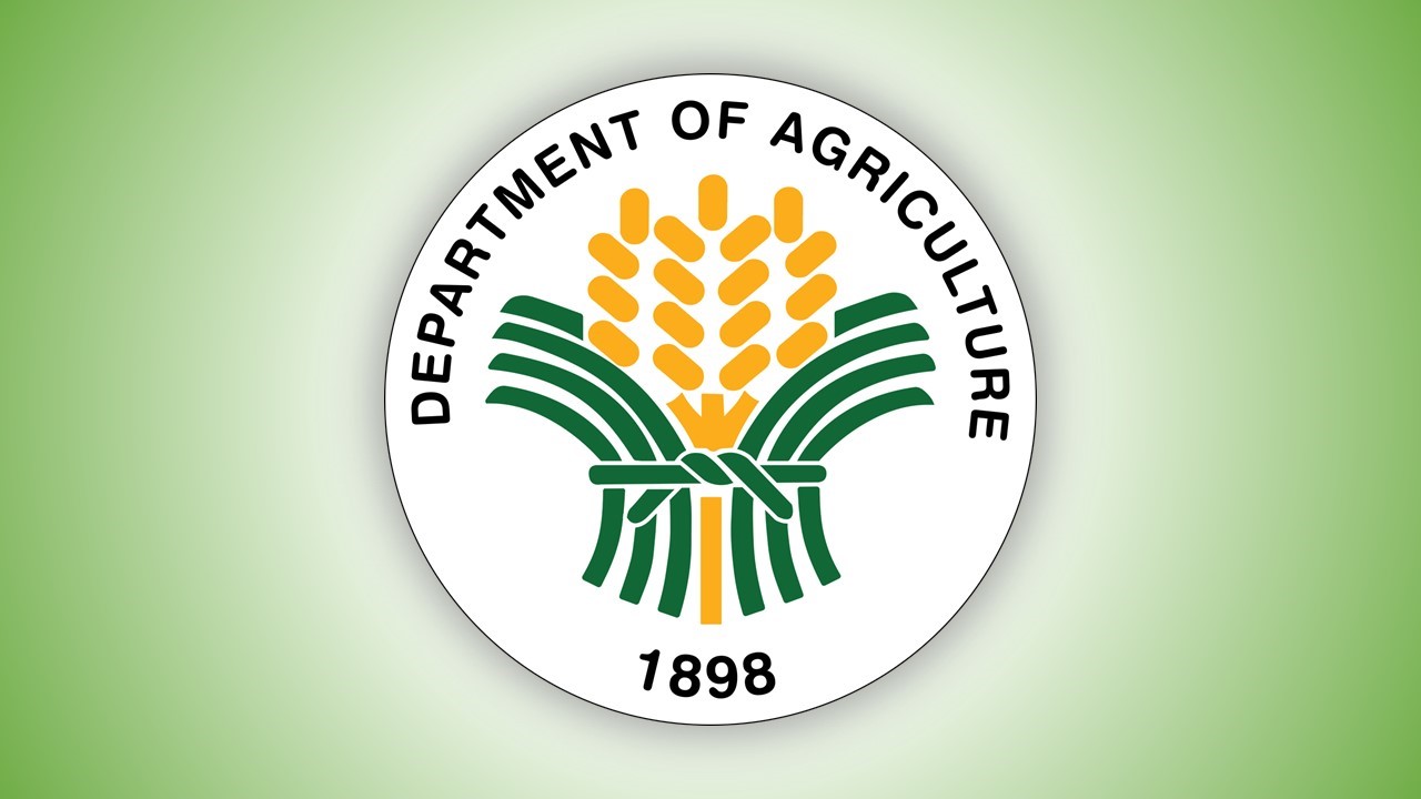 DA, nagbabala sa publiko na huwag abusuhin ang P29 Program - RMN Networks