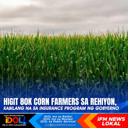 HIGIT 80K CORN FARMERS SA REHIYON, KABILANG NA SA INSURANCE PROGRAM NG GOBYERNO - RMN Networks