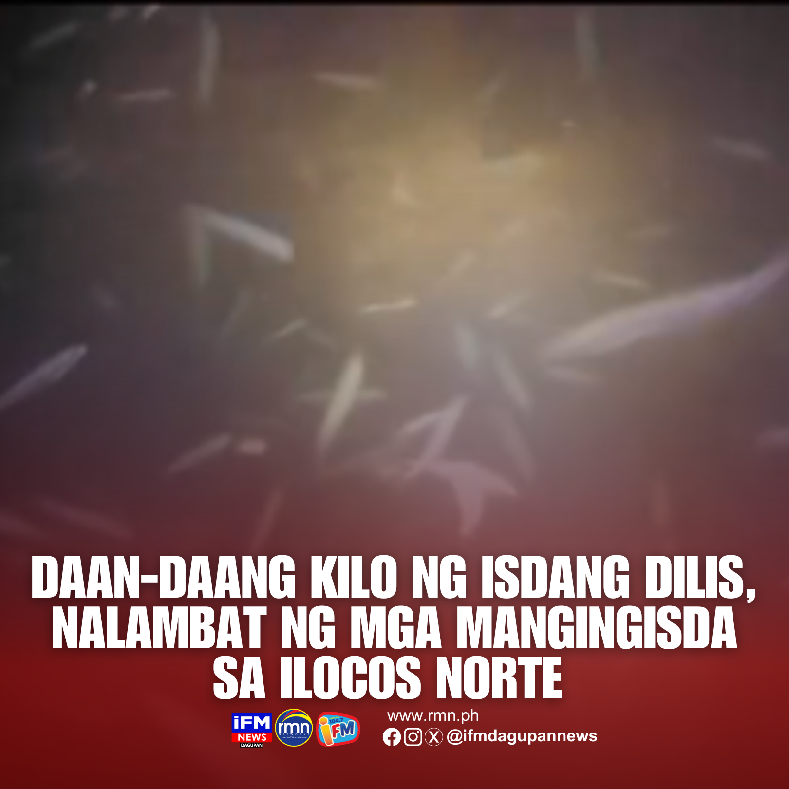 𝗗𝗔𝗔𝗡-𝗗𝗔𝗔𝗡𝗚 𝗞𝗜𝗟𝗢 𝗡𝗚 𝗜𝗦𝗗𝗔𝗡𝗚 𝗗𝗜𝗟𝗜𝗦, 𝗡𝗔𝗟𝗔𝗠𝗕𝗔𝗧 𝗡𝗚 𝗠𝗚𝗔 𝗠𝗔𝗡𝗚𝗜𝗡𝗚𝗜𝗦𝗗𝗔 𝗦𝗔 𝗜𝗟𝗢𝗖𝗢𝗦 𝗡𝗢𝗥𝗧𝗘 - RMN Networks