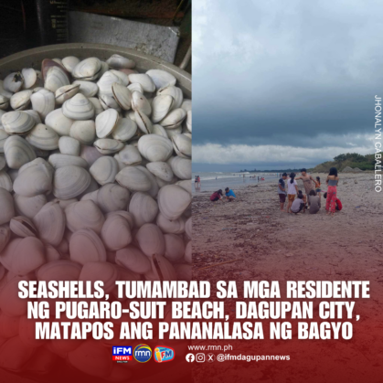 𝗦𝗘𝗔𝗦𝗛𝗘𝗟𝗟𝗦, 𝗧𝗨𝗠𝗔𝗠𝗕𝗔𝗗 𝗦𝗔 𝗠𝗚𝗔 𝗥𝗘𝗦𝗜𝗗𝗘𝗡𝗧𝗘 𝗡𝗚 𝗣𝗨𝗚𝗔𝗥𝗢-𝗦𝗨𝗜𝗧 𝗕𝗘𝗔𝗖𝗛, 𝗗𝗔𝗚𝗨𝗣𝗔𝗡 𝗖𝗜𝗧𝗬 ...