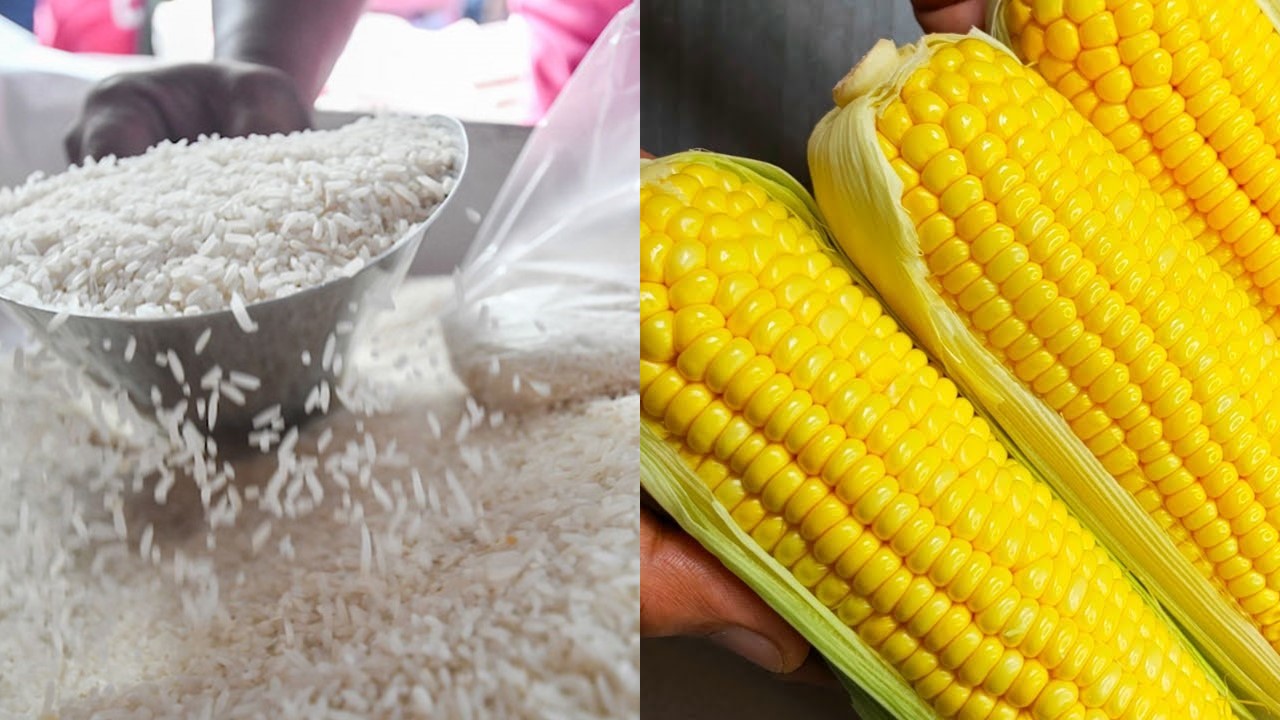 Presyo ng bigas at mais, kailangang patuloy na bantayan upang hindi ...