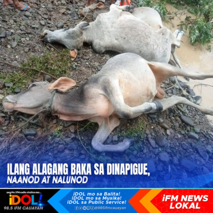 𝗜𝗟𝗔𝗡𝗚 𝗕𝗔𝗞𝗔 𝗦𝗔 𝗗𝗜𝗡𝗔𝗣𝗜𝗚𝗨𝗘, 𝗡𝗔𝗔𝗡𝗢𝗗 𝗔𝗧 𝗡𝗔𝗟𝗨𝗡𝗢𝗗 - RMN Networks