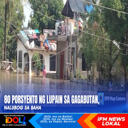 𝟴𝟬 𝗣𝗢𝗥𝗦𝗬𝗘𝗡𝗧𝗢 𝗡𝗚 𝗟𝗨𝗣𝗔𝗜𝗡 𝗦𝗔 𝗚𝗔𝗚𝗔𝗕𝗨𝗧𝗔𝗡, 𝗡𝗔𝗟𝗨𝗕𝗢𝗚 𝗦𝗔 𝗕𝗔𝗛𝗔 - RMN Networks