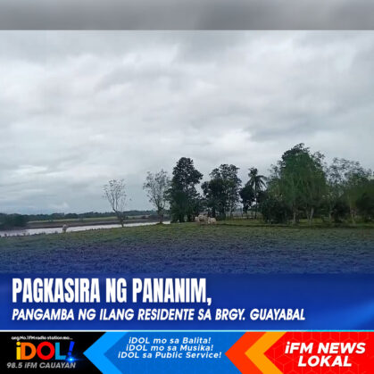 PAGKASIRA NG PANANIM, PANGAMBA NG ILANG RESIDENTE SA BRGY. GUAYABAL ...