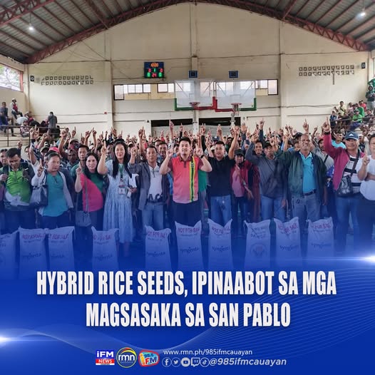 HYBRID RICE SEEDS, IPINAABOT SA MGA MAGSASAKA SA SAN PABLO - RMN Networks