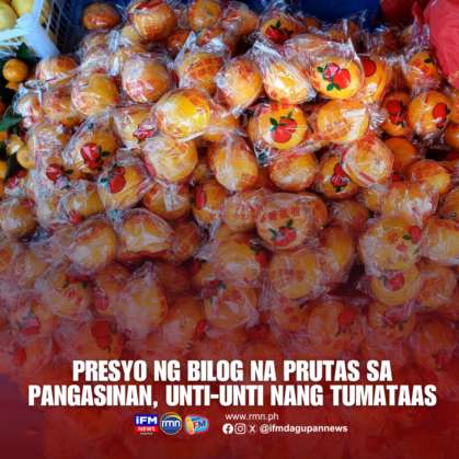 PRESYO NG BILOG NA PRUTAS SA PANGASINAN, UNTI-UNTI NANG TUMATAAS - RMN Networks