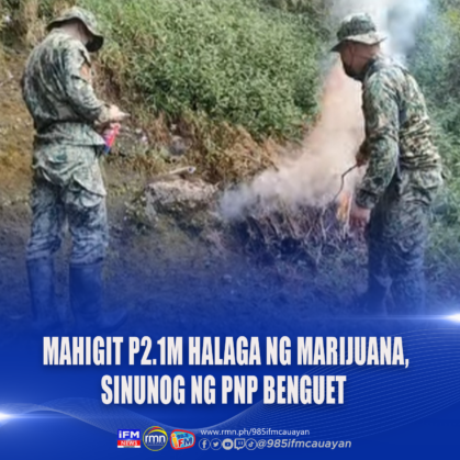 MAHIGIT P2.1M HALAGA NG MARIJUANA, SINUNOG NG PNP BENGUET - RMN Networks