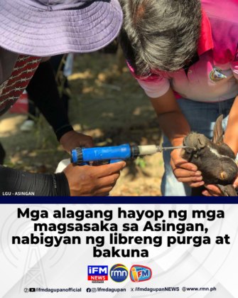 MGA ALAGANG HAYOP NG MGA MAGSASAKA SA ASINGAN, NABIGYAN NG LIBRENG ...