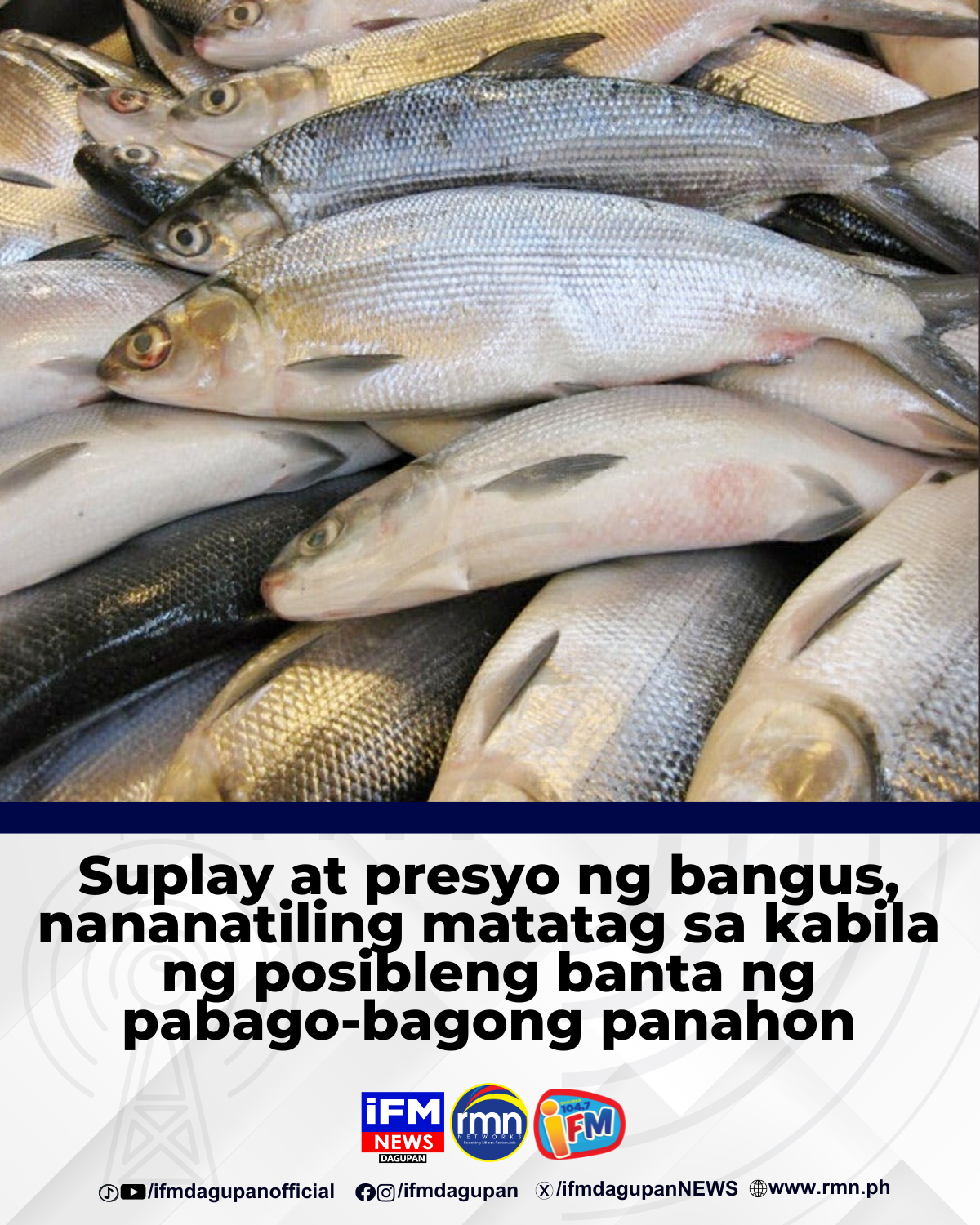 SUPLAY AT PRESYO NG BANGUS, NANANATILING MATATAG SA KABILA NG POSIBLENG BANTA NG PABAGO-BAGONG ...