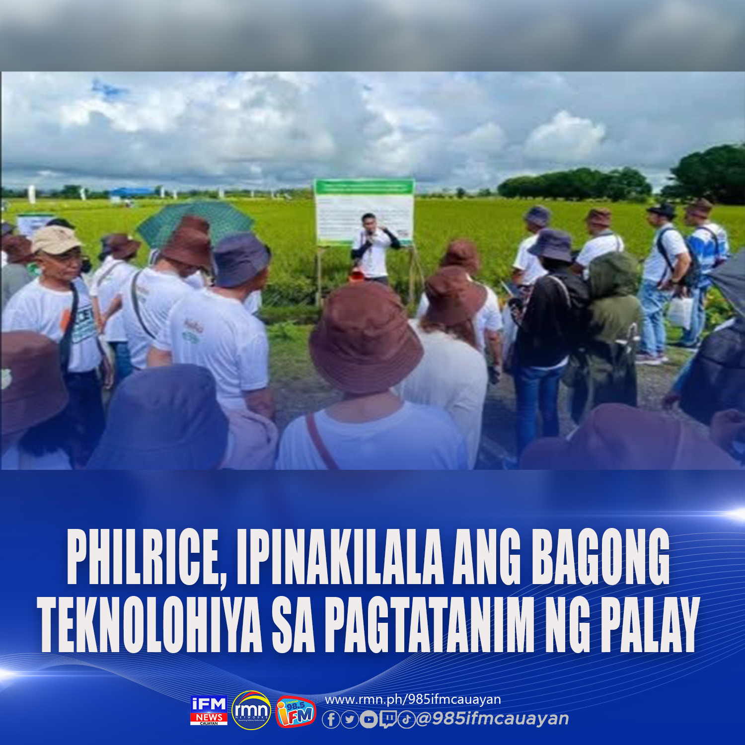 PHILRICE, IPINAKILALA ANG BAGONG TEKNOLOHIYA SA PAGTATANIM NG PALAY ...