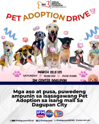 MGA ASO AT PUSA, PWEDENG AMPUNIN SA ISASAGAWANG PET ADOPTION SA ISANG ...