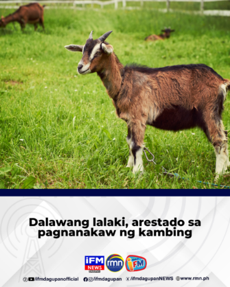 DALAWANG LALAKI, ARESTADO SA PAGNANAKAW NG KAMBING - RMN Networks
