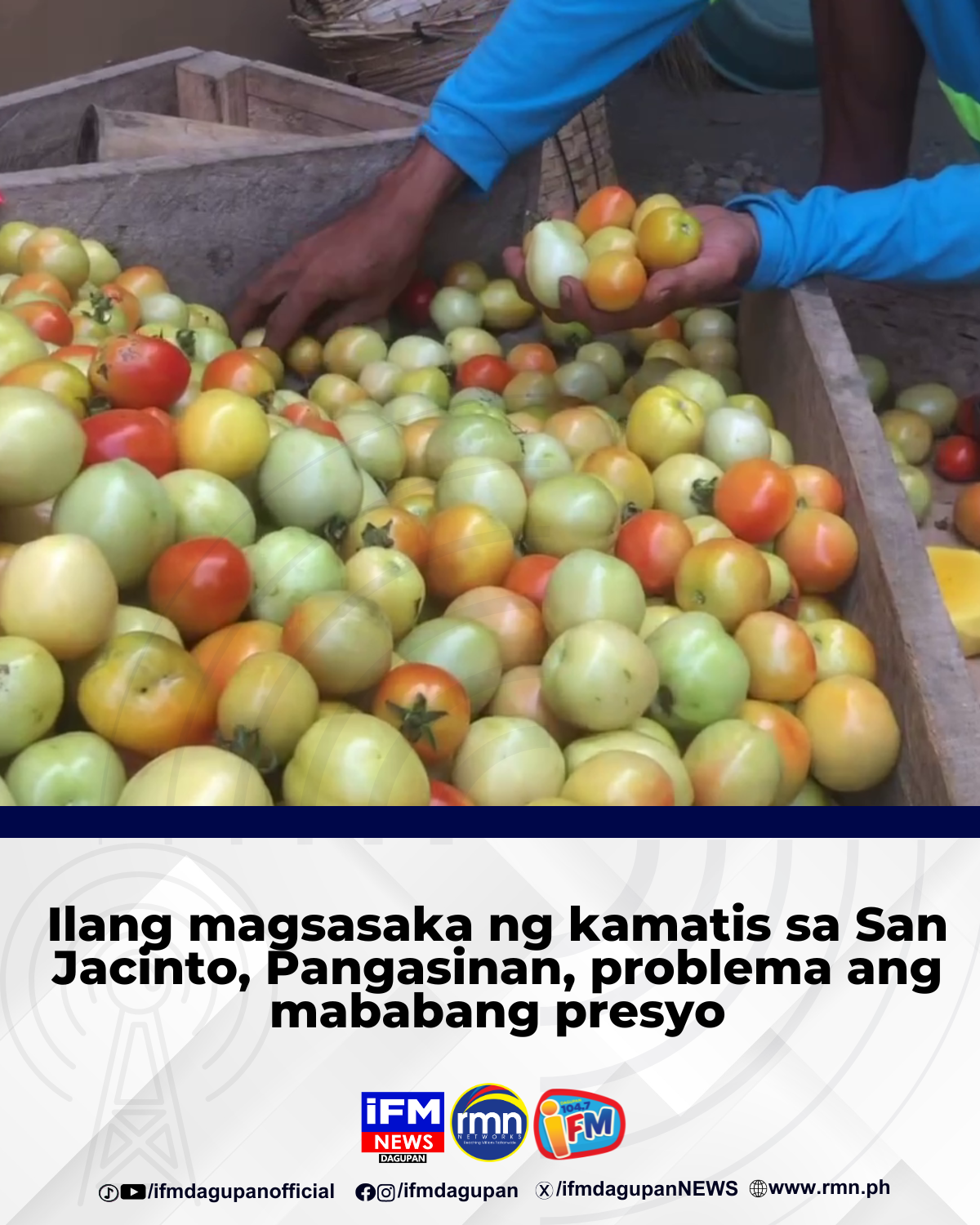 ILANG MAGSASAKA NG KAMATIS SA SAN JACINTO, PANGASINAN, PROBLEMA ANG ...
