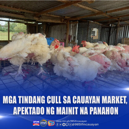 𝗠𝗚𝗔 𝗧𝗜𝗡𝗗𝗔𝗡𝗚 𝗖𝗨𝗟𝗟 𝗦𝗔 𝗖𝗔𝗨𝗔𝗬𝗔𝗡 𝗠𝗔𝗥𝗞𝗘𝗧, 𝗔𝗣𝗘𝗞𝗧𝗔𝗗𝗢 𝗡𝗚 𝗠𝗔𝗜𝗡𝗜𝗧 𝗡𝗔 𝗣𝗔𝗡𝗔𝗛𝗢𝗡 - RMN ...