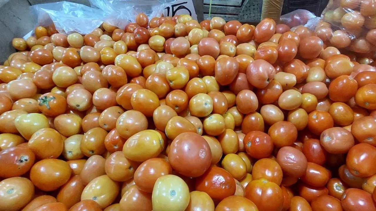 DA, gumagawa na ng hakbang sa problema ng mga magsasaka ng kamatis ...