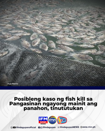 POSIBLENG KASO NG FISH KILL SA PANGASINAN NGAYONG MAINIT ANG PANAHON ...