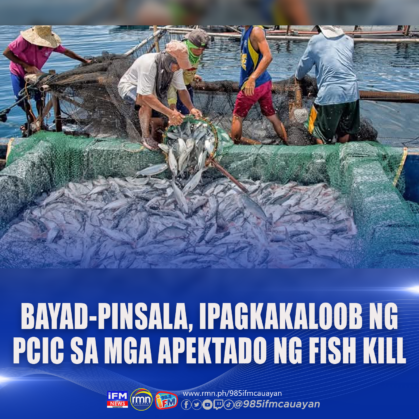BAYAD-PINSALA, IPAGKAKALOOB NG PCIC SA MGA APEKTADO NG FISH KILL - RMN ...
