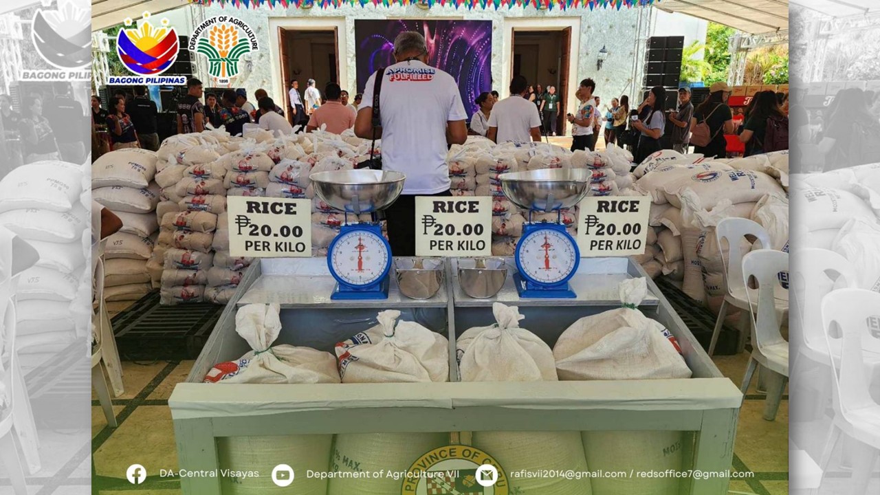 DA, target na madagdagan pa ang mga Kadiwa Store na nagtitinda ng P20 na bigas - RMN Networks