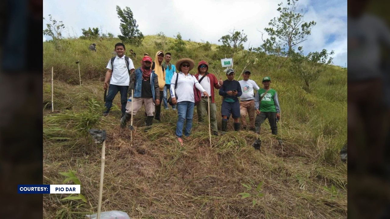 DAR, nagtatanim ng puno upang mapigilan ang pagguho ng lupa at ...