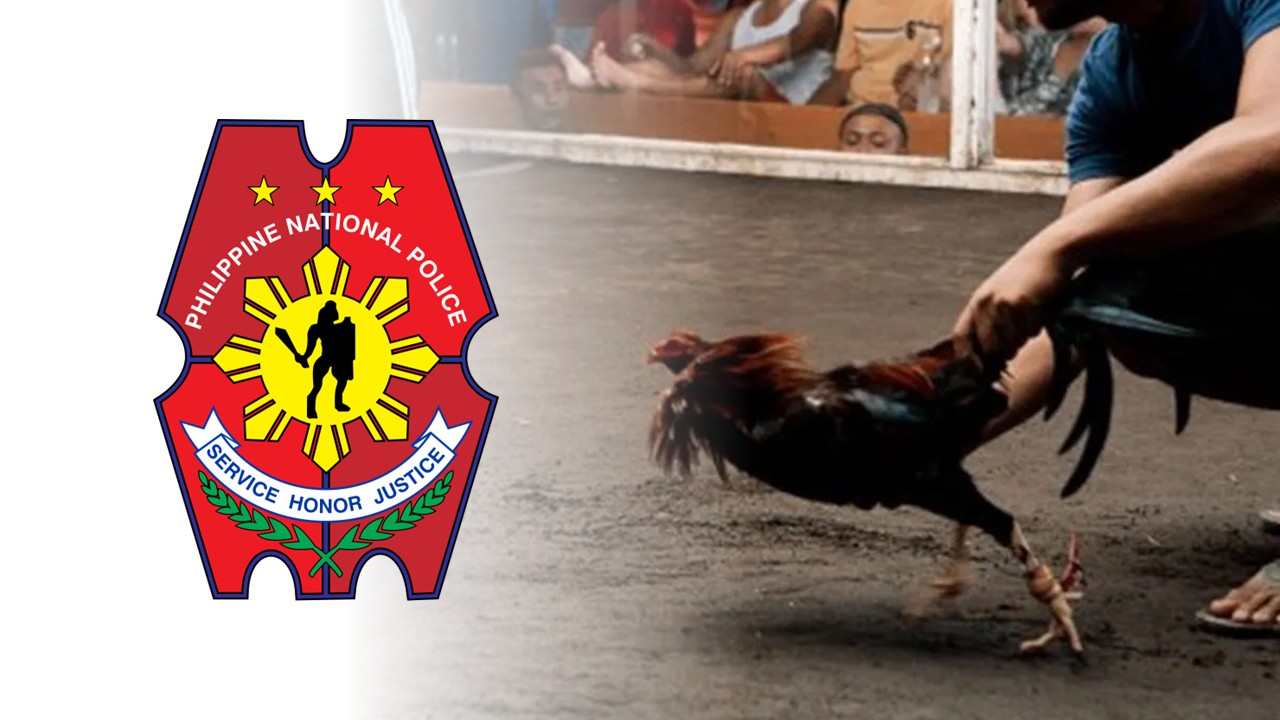 PNP, walang sisinuhin sa imbestigasyon ng mga 'missing sabungeros' - RMN Networks