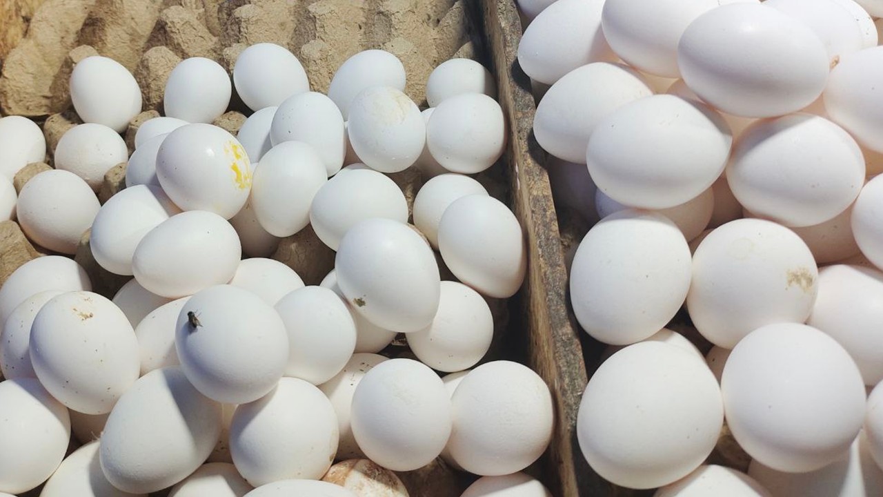 Suplay ng itlog sa Pasay Public Market, nananatiling matatag; patuloy ...