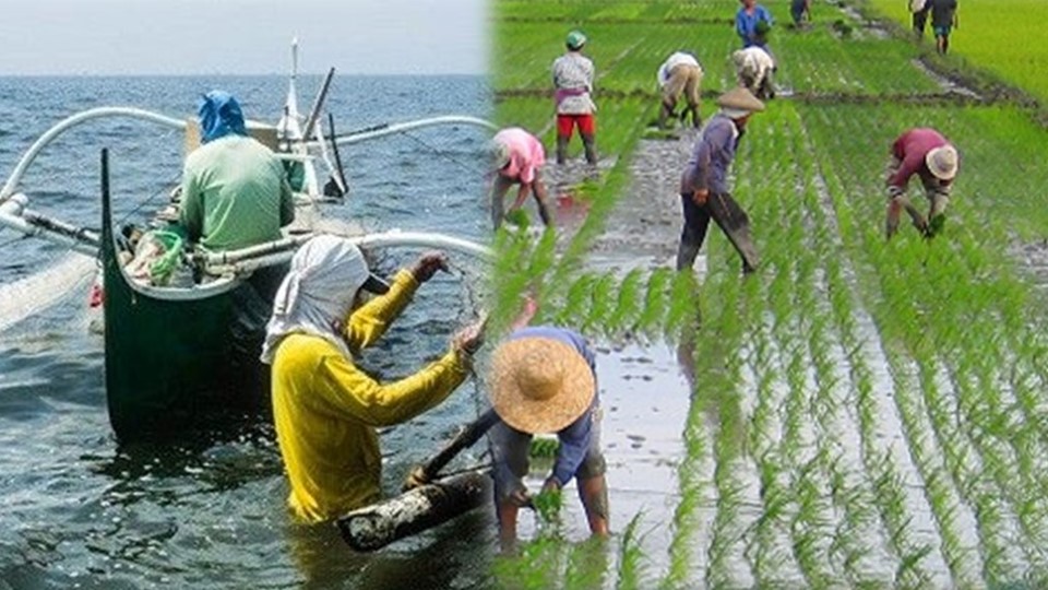 DA, naglaan ng P3-B para ayudahan ang mga magsasaka at mangingisda na ...