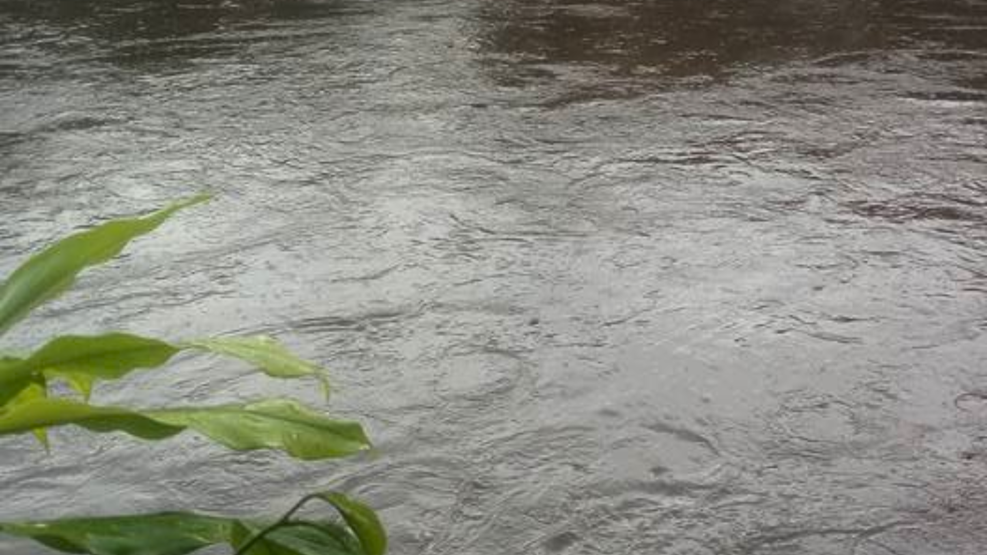 Bangkay ng lalaki, natagpuang palutang-lutang sa ilog sa San Pedro City, Laguna - RMN Networks